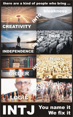 INTJ Meme | INTJBlog.de